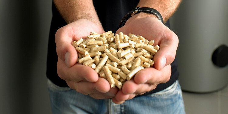 Biomass boiler starter kits